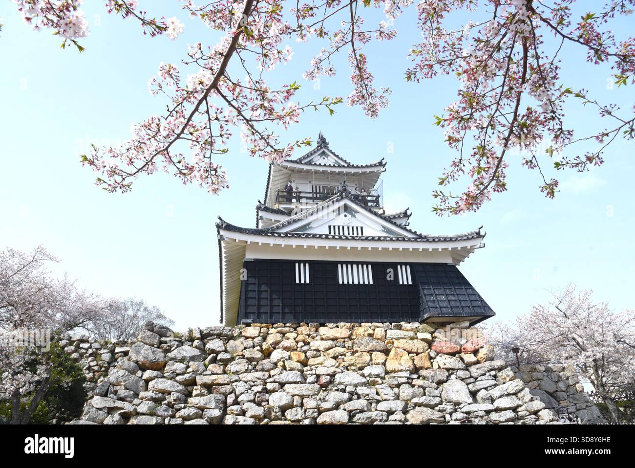 "Hamamatsu Castle" in Hamamatsu City, Shizuoka Prefecture, a famous ...