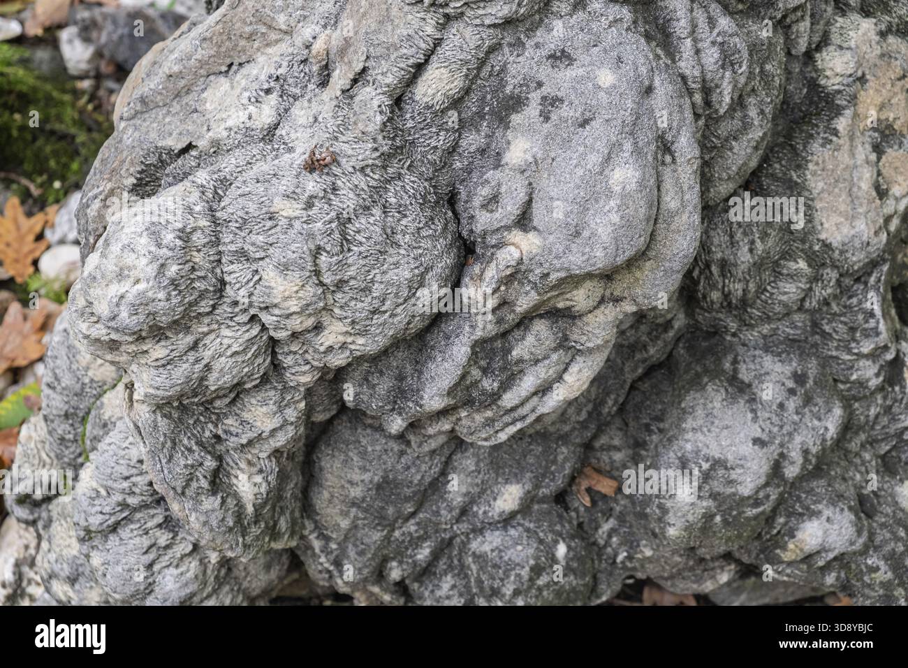 Sand rose, barytrose, sedimentary rock, Tertiary geological age, 40 ...