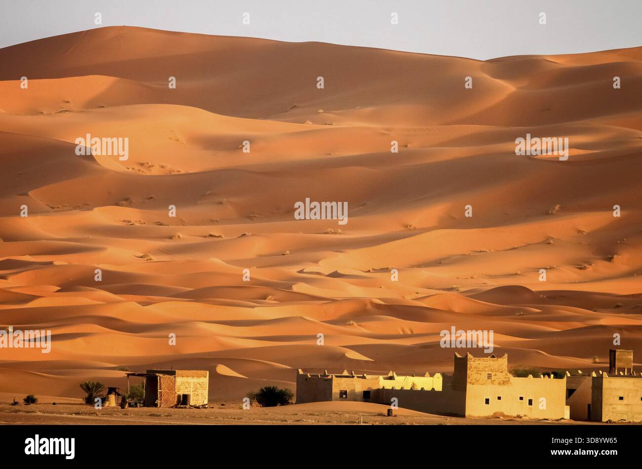 Berber homes at the foot of gigantic and stunning sand dunes of Sahara ...
