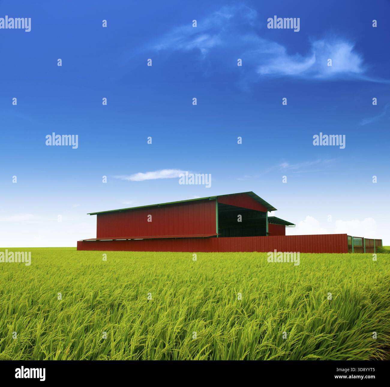 Rice factory in paddy rice field at Malaysia Stock Photo - Alamy