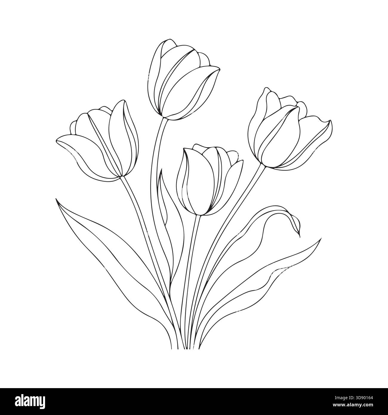 Elegant single line drawing of a delicate bouquet of blooming tulips ...