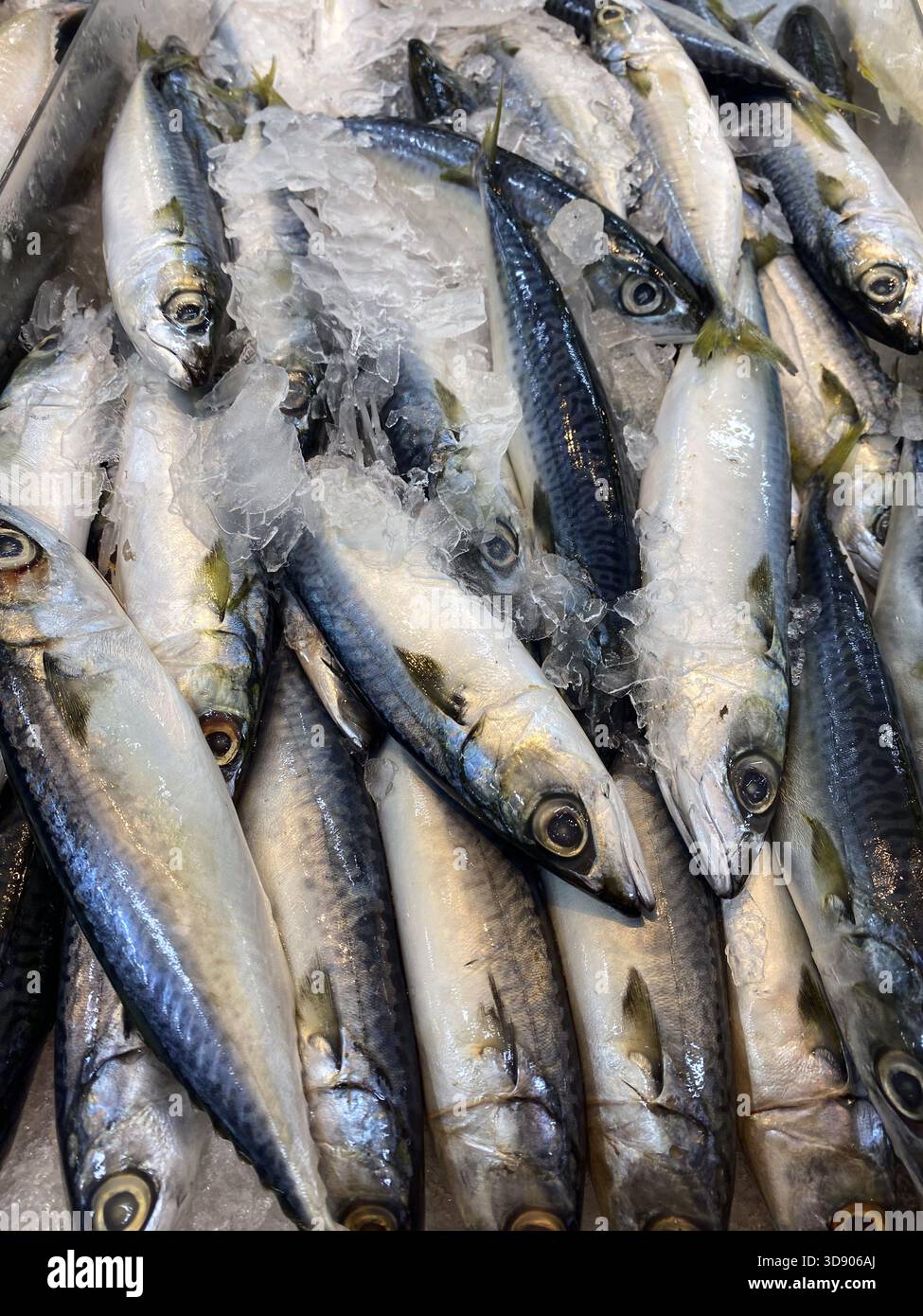 Sardine fish display market smartphone stock photos and images - Alamy