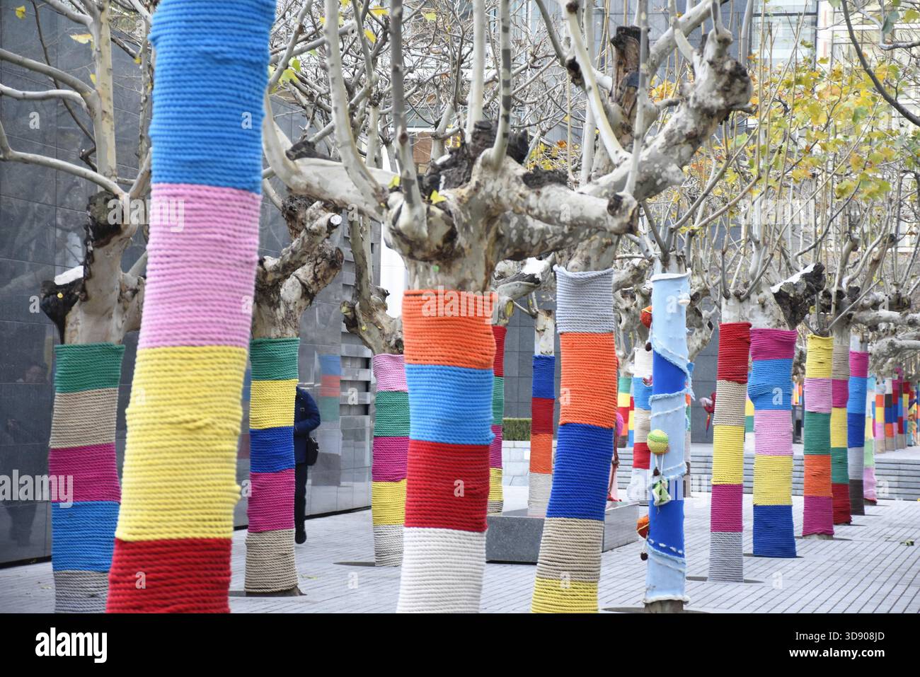 Trees on the street are put on brightly colored "sweaters" for winter ...