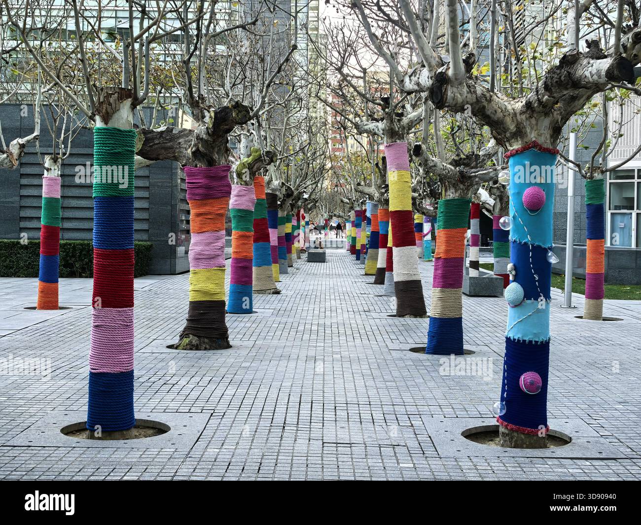 Trees on the street are put on brightly colored "sweaters" for winter ...