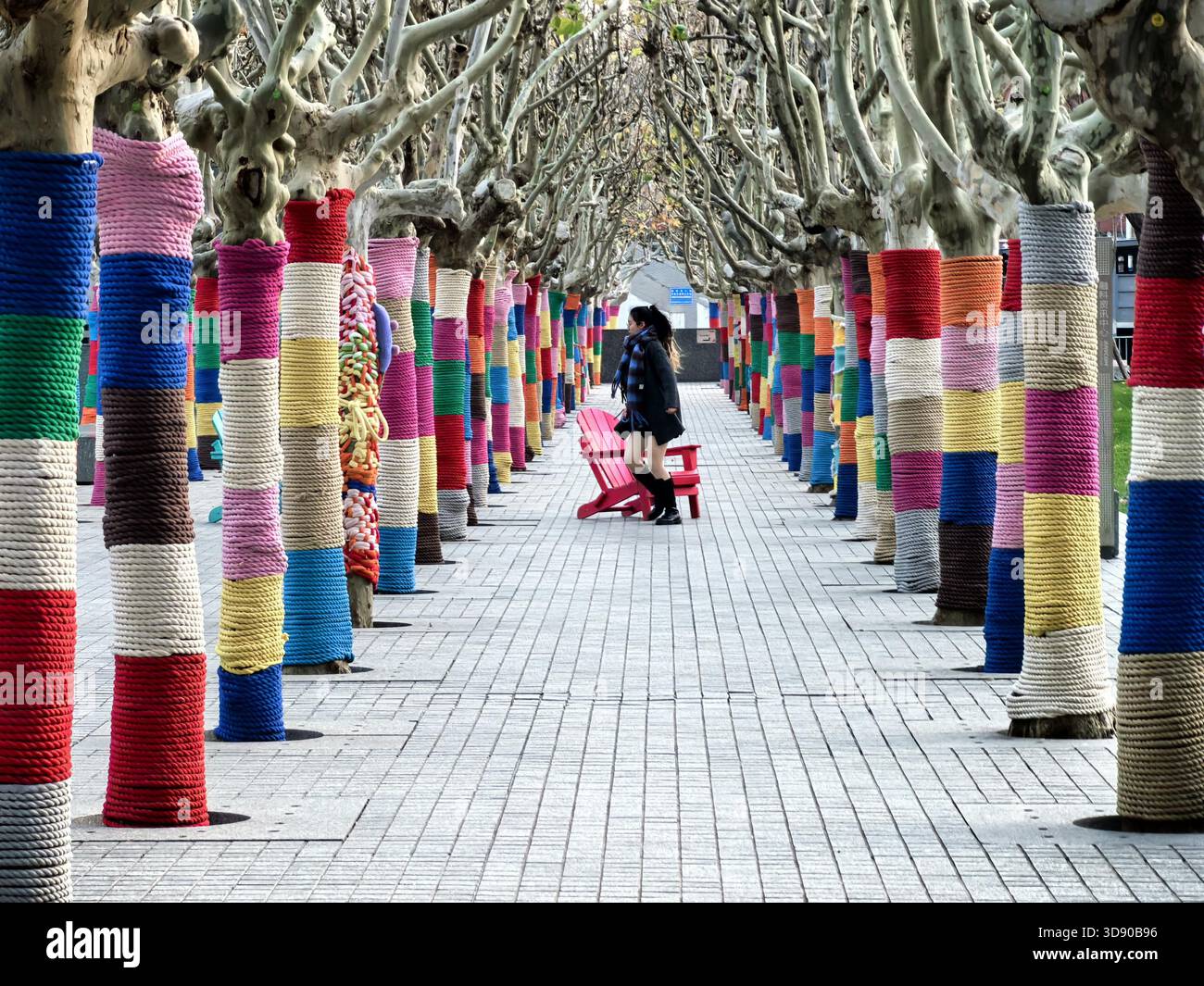 Trees on the street are put on brightly colored "sweaters" for winter ...