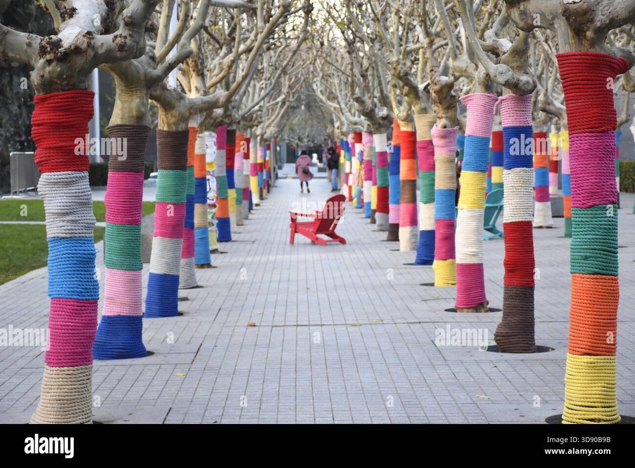 Trees on the street are put on brightly colored "sweaters" for winter ...