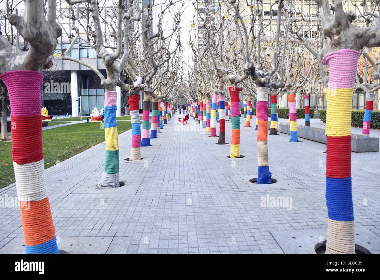 Trees on the street are put on brightly colored "sweaters" for winter ...