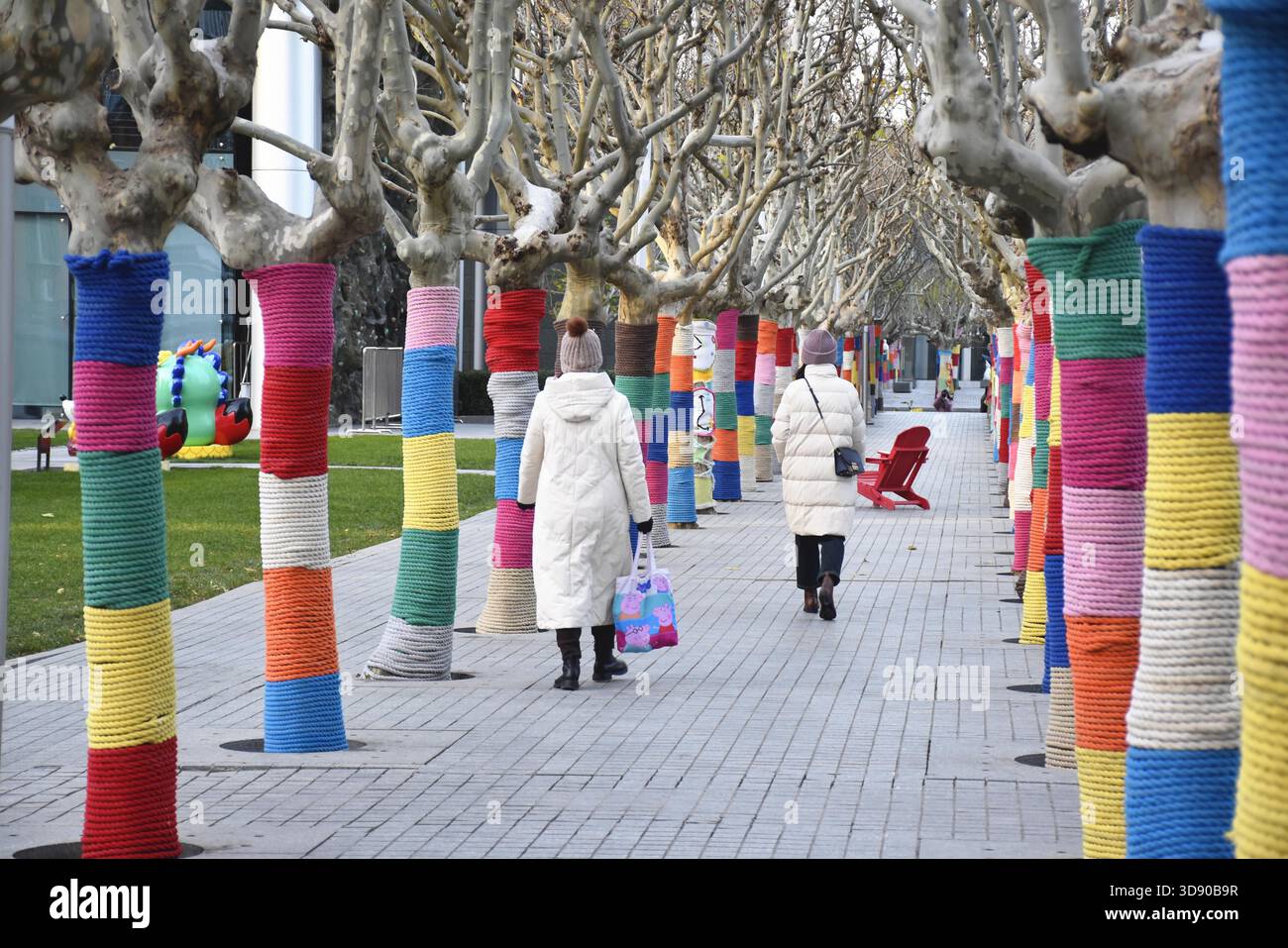 Trees on the street are put on brightly colored "sweaters" for winter ...