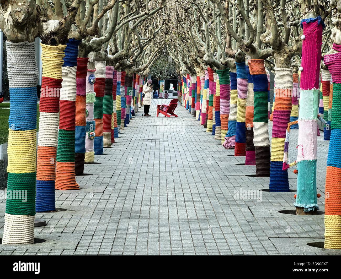 Trees on the street are put on brightly colored "sweaters" for winter ...
