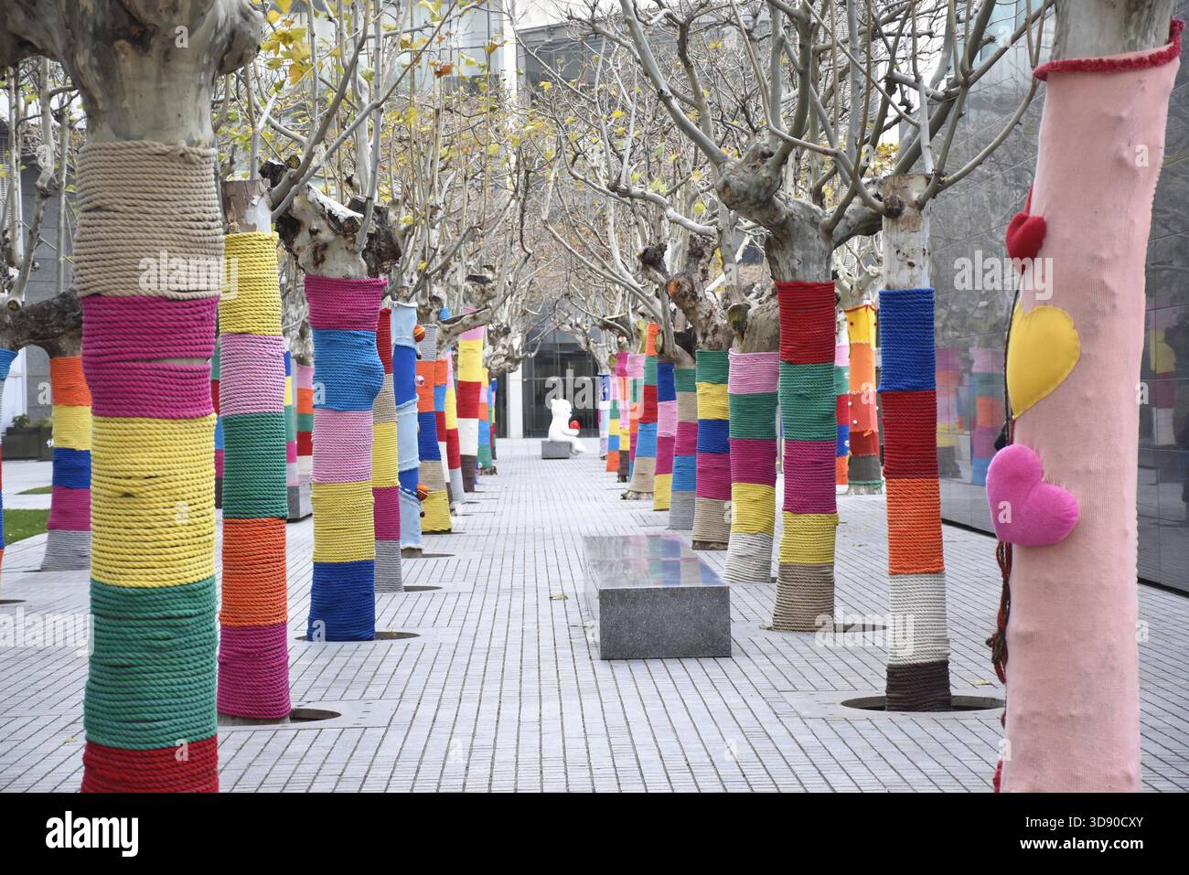 Trees on the street are put on brightly colored "sweaters" for winter ...