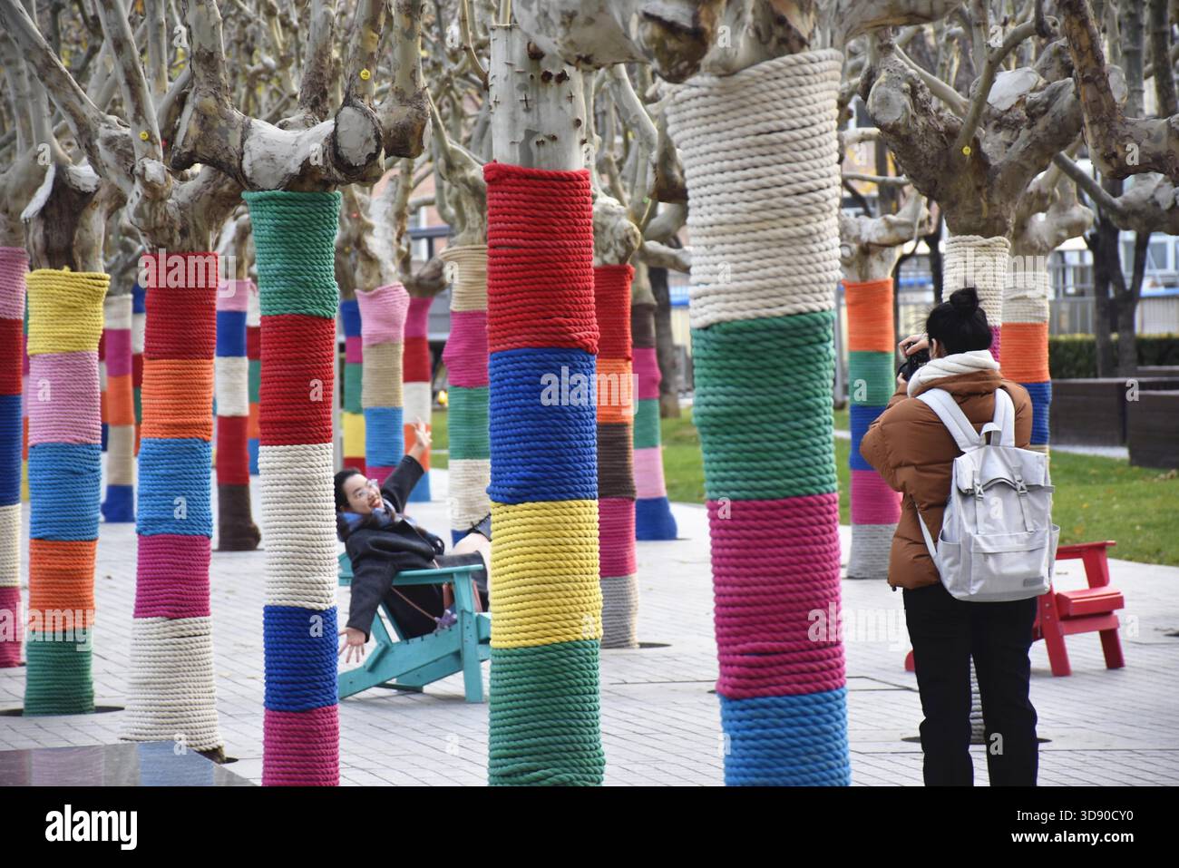 Trees on the street are put on brightly colored "sweaters" for winter ...