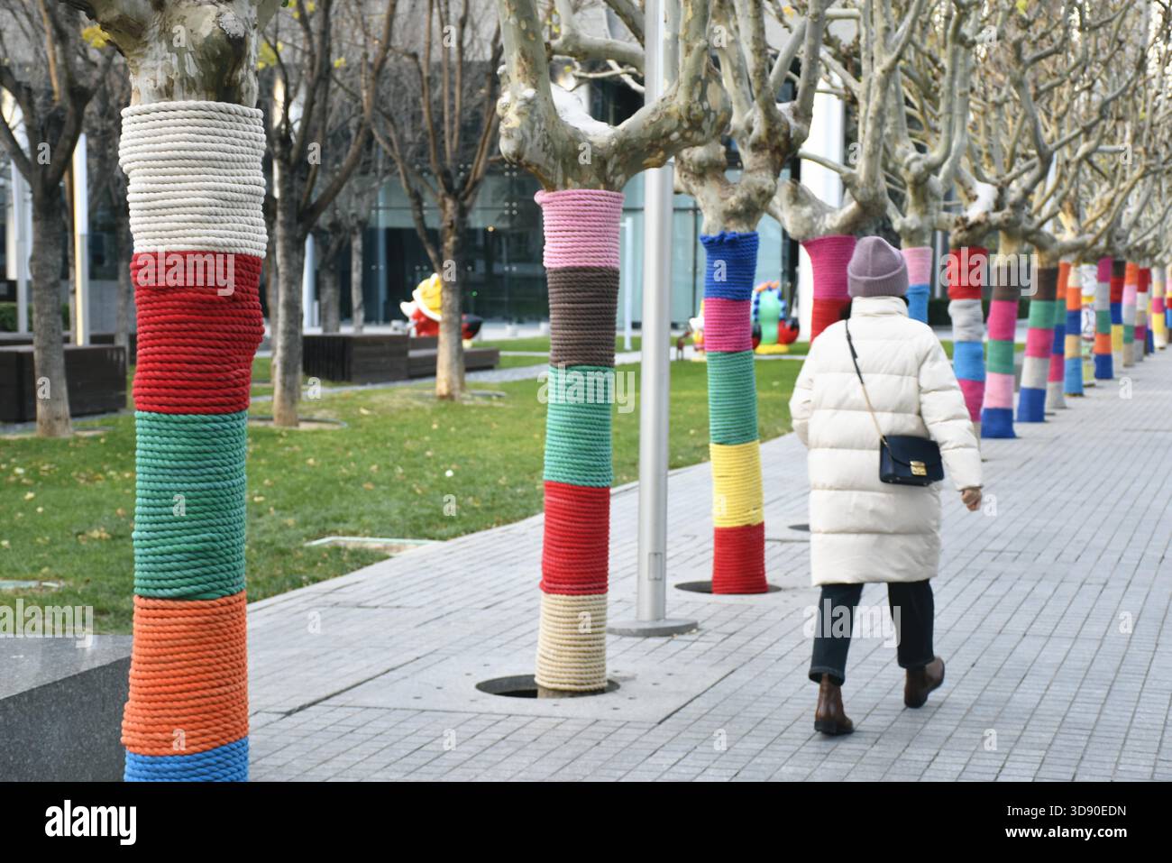 Trees on the street are put on brightly colored "sweaters" for winter ...