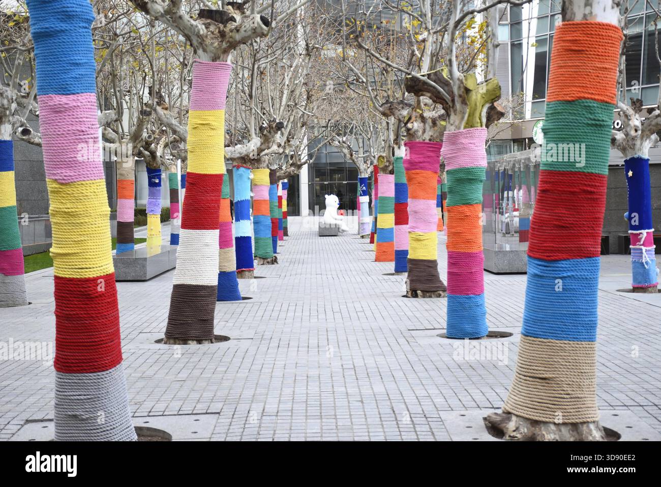 Trees on the street are put on brightly colored "sweaters" for winter ...