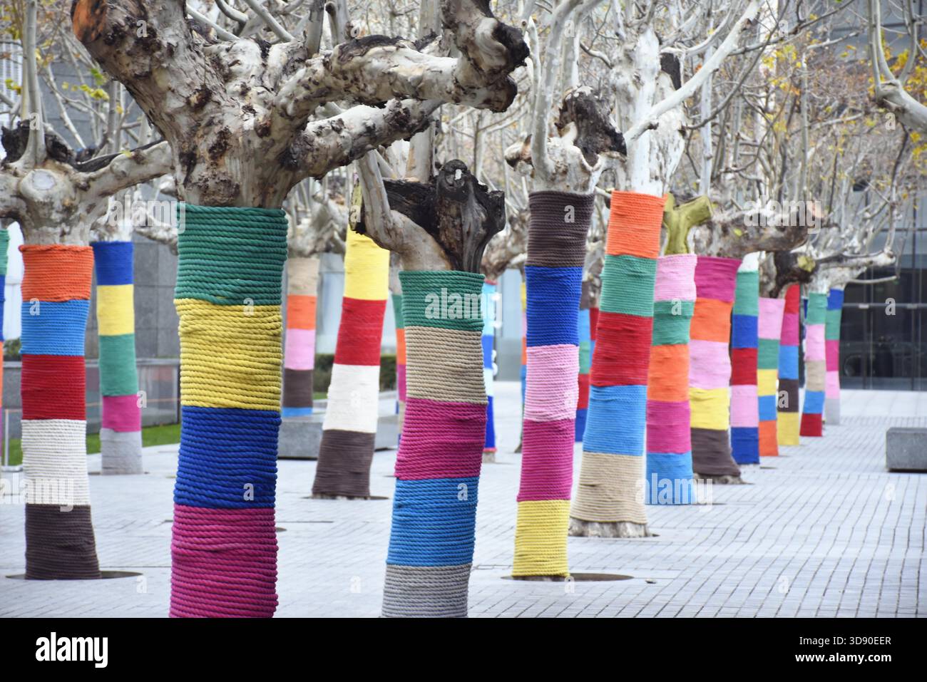 Trees on the street are put on brightly colored "sweaters" for winter ...