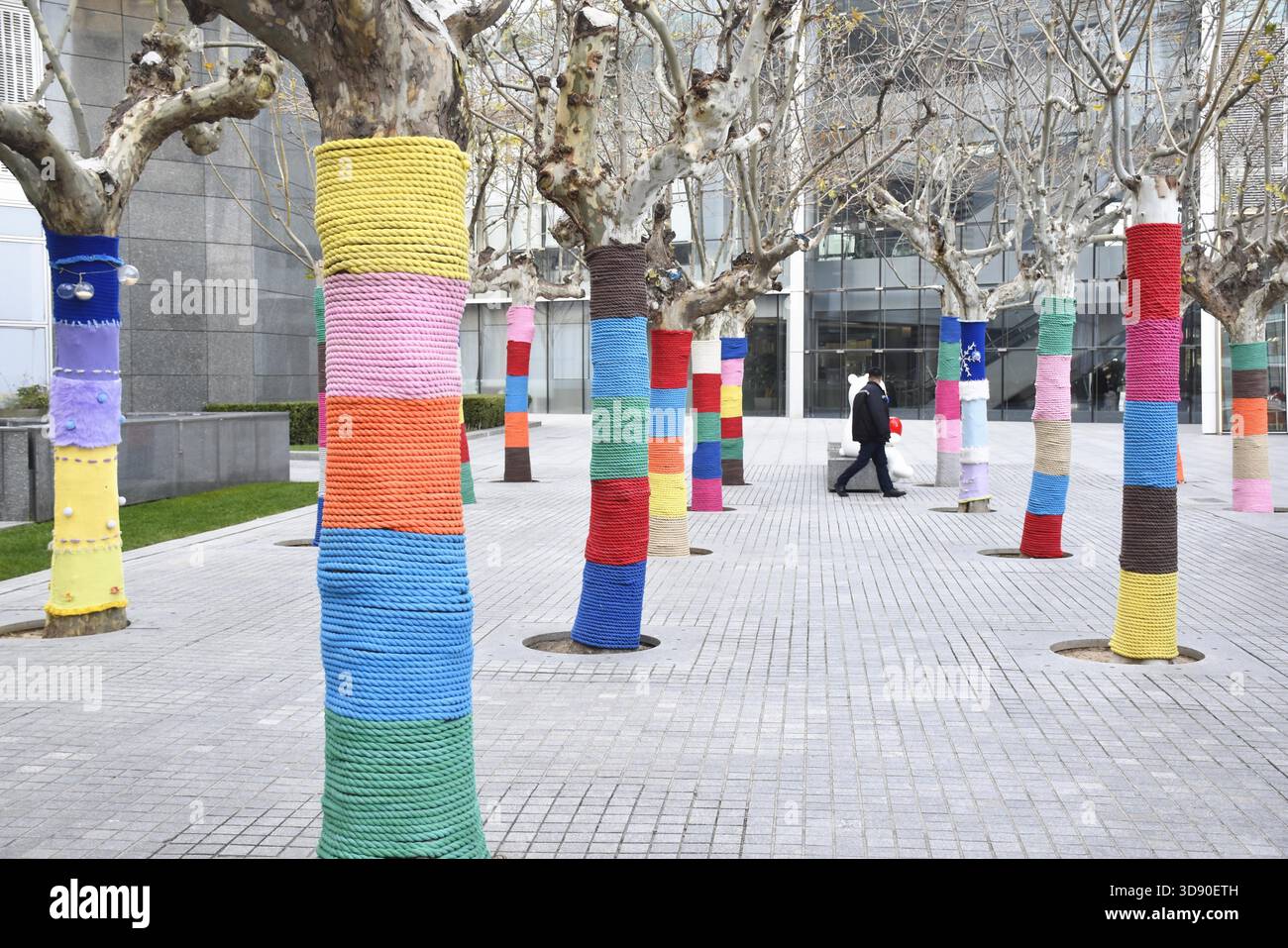 Trees on the street are put on brightly colored "sweaters" for winter ...