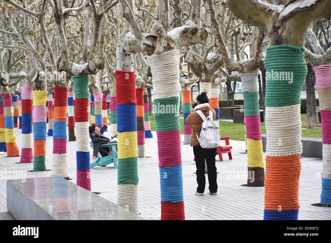 Trees on the street are put on brightly colored "sweaters" for winter ...