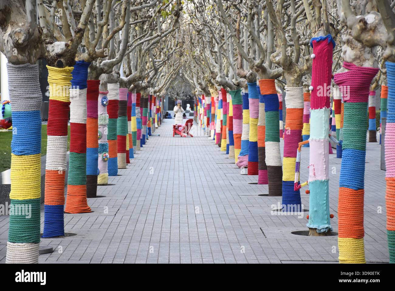 Trees on the street are put on brightly colored "sweaters" for winter ...