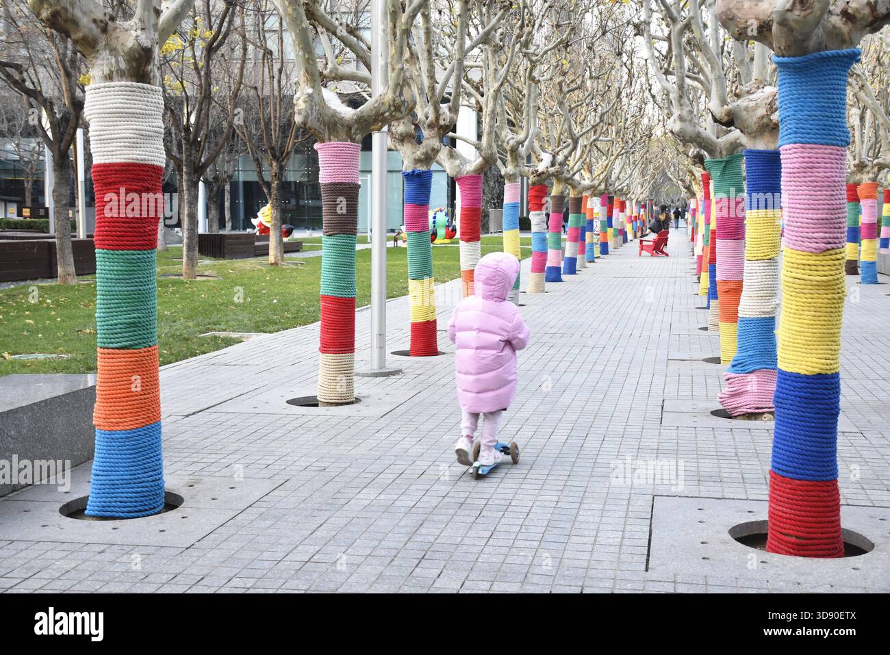 Trees on the street are put on brightly colored "sweaters" for winter ...