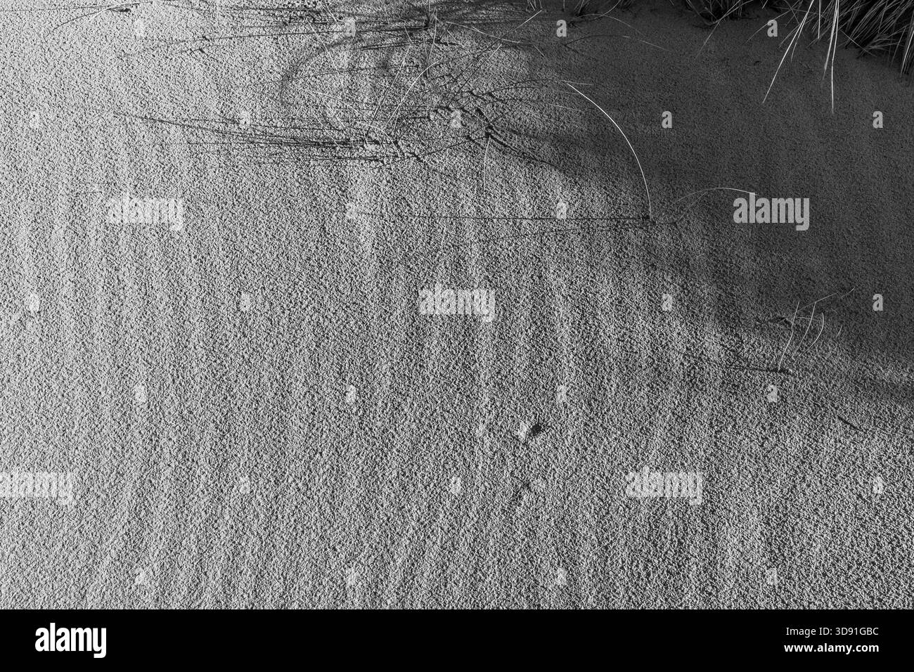 Smooth light trace Black and White Stock Photos & Images - Alamy