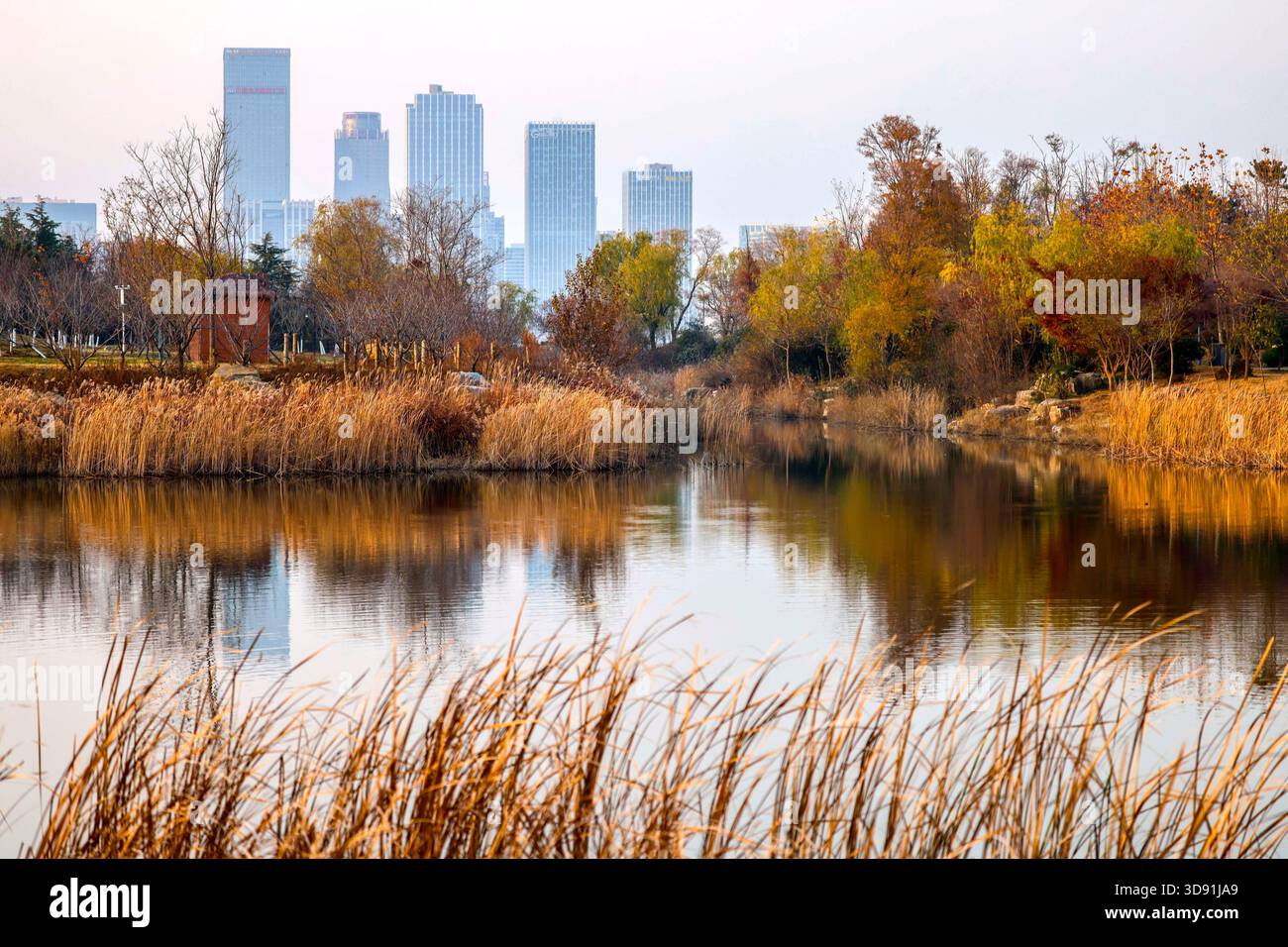 Winter scenery at a wetland in Qingdao City, east China's Shandong ...