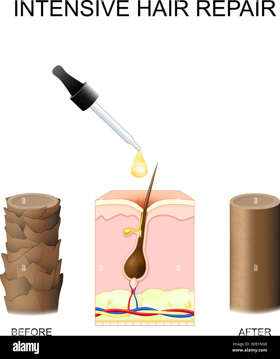 After haircut Stock Vector Images - Alamy