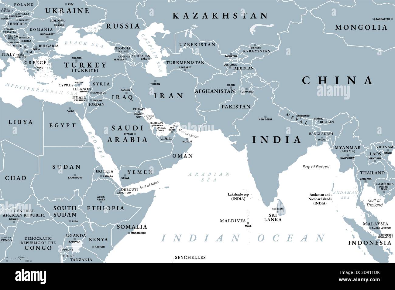 West Asia and South Asia, gray political map with countries ...