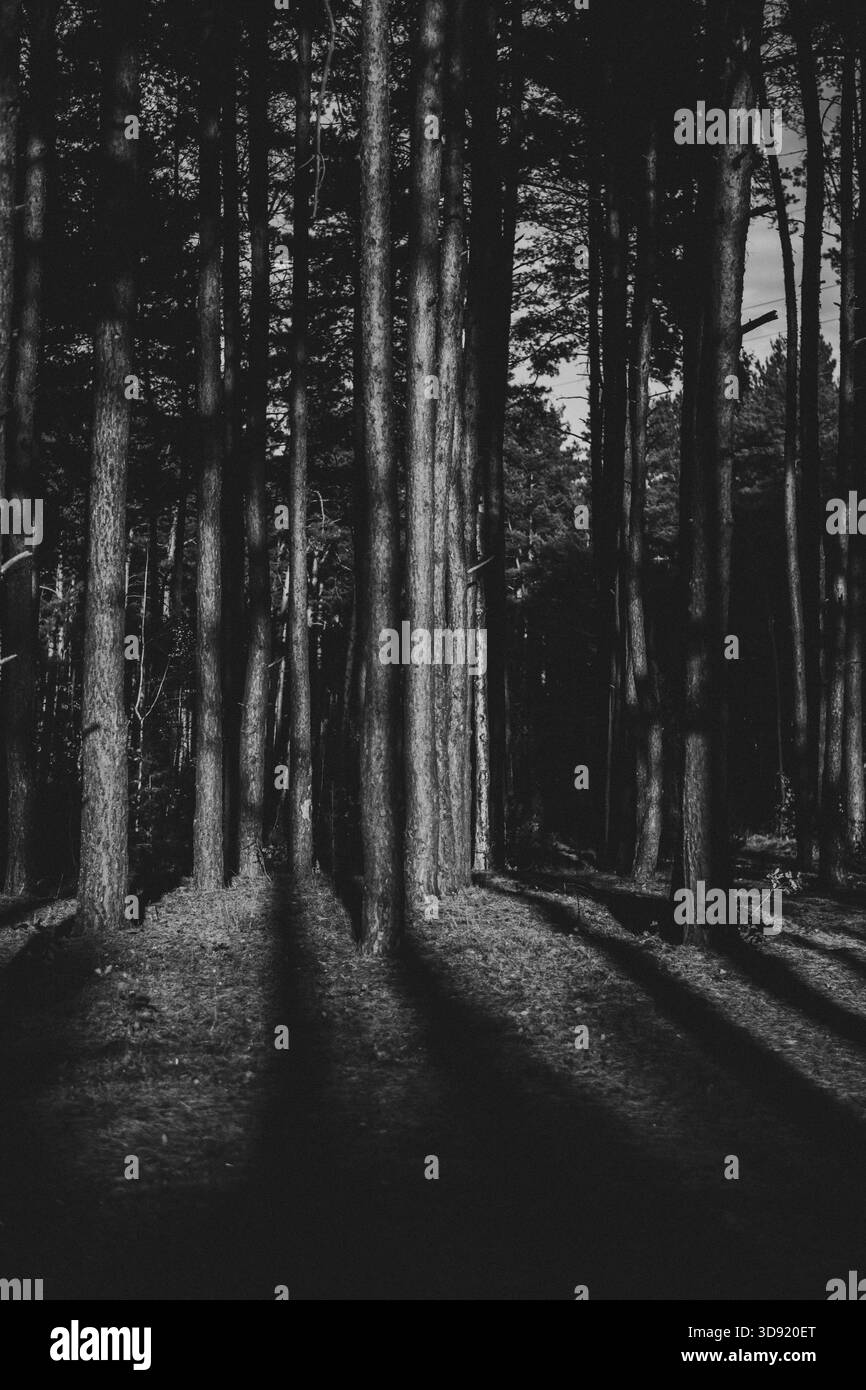 Sun in back Black and White Stock Photos & Images - Alamy