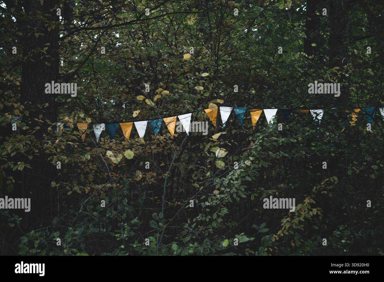 Triangular multicolored flags on trees in a forest park Stock Photo - Alamy