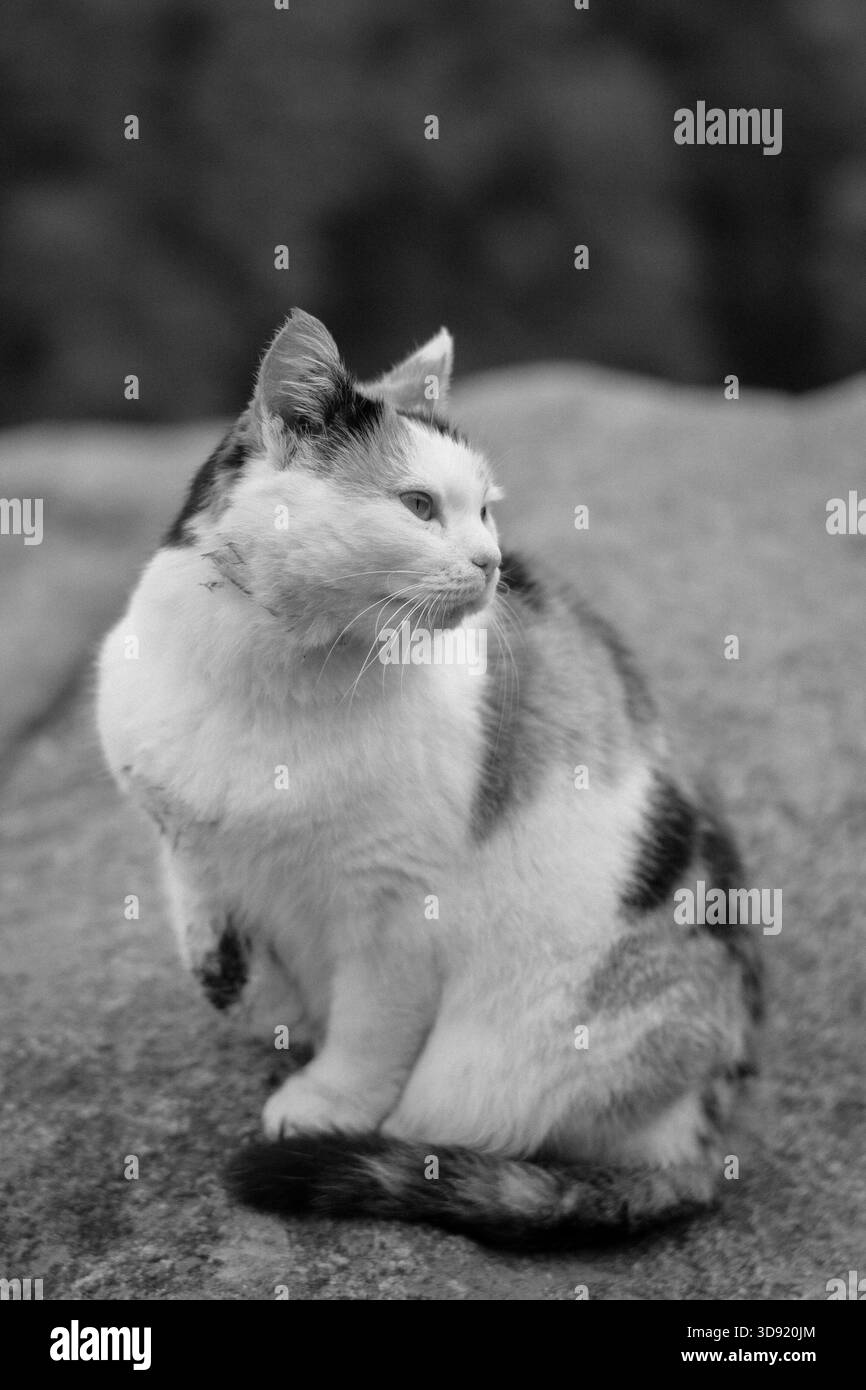 Sit rock Black and White Stock Photos & Images - Alamy