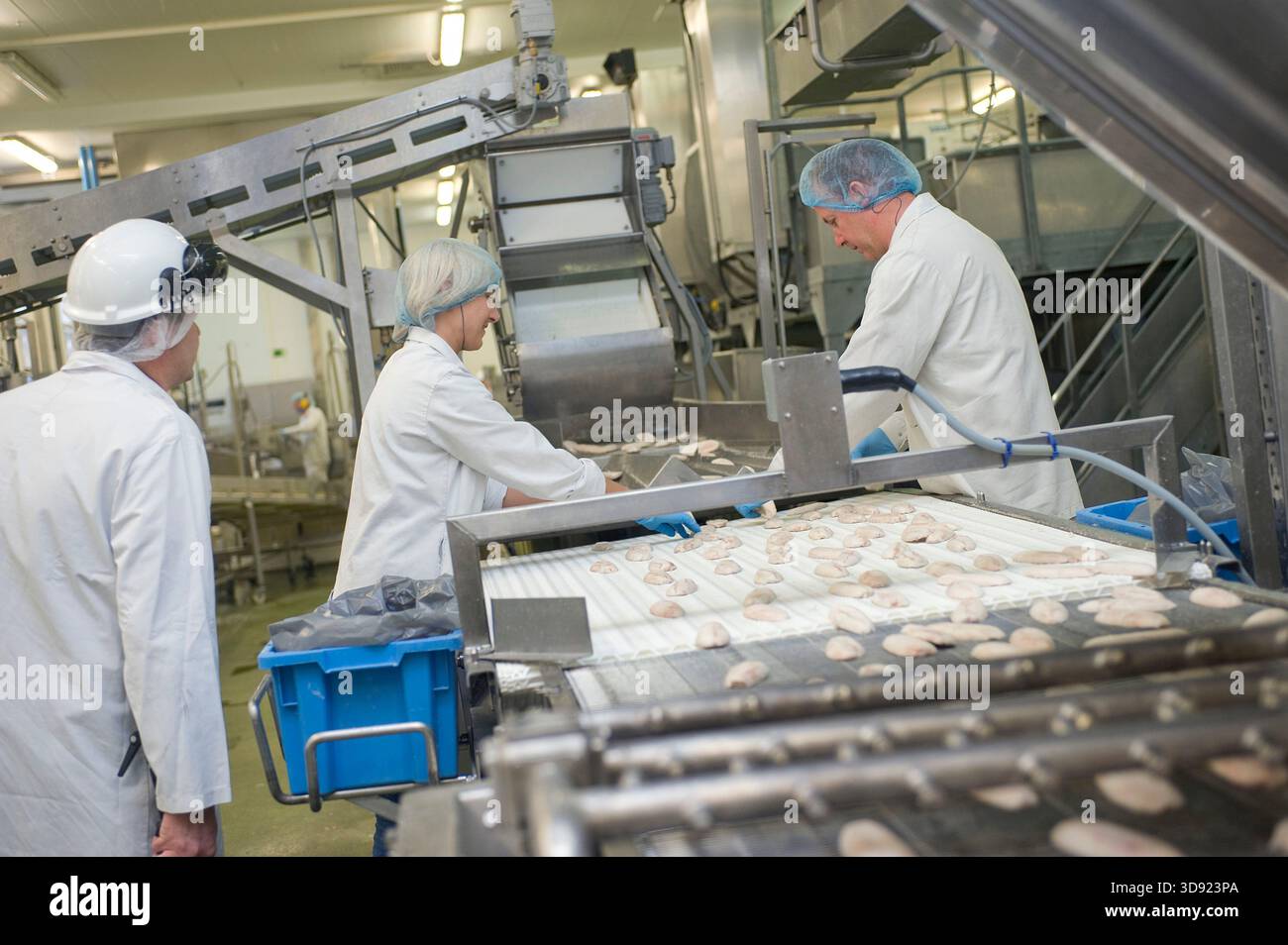 Frozen food england 1950s hi-res stock photography and images - Alamy