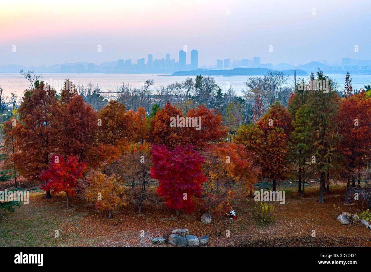 Winter scenery at a wetland in Qingdao City, east China's Shandong ...