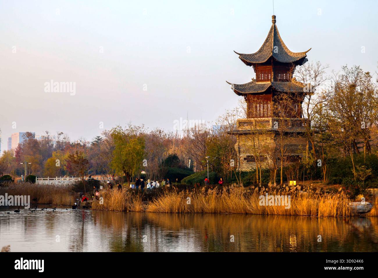 Winter scenery at a wetland in Qingdao City, east China's Shandong ...