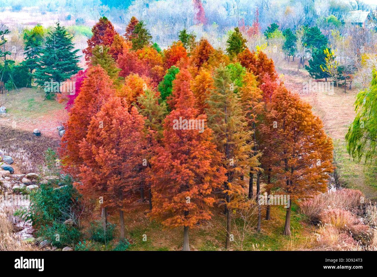 Winter scenery at a wetland in Qingdao City, east China's Shandong ...