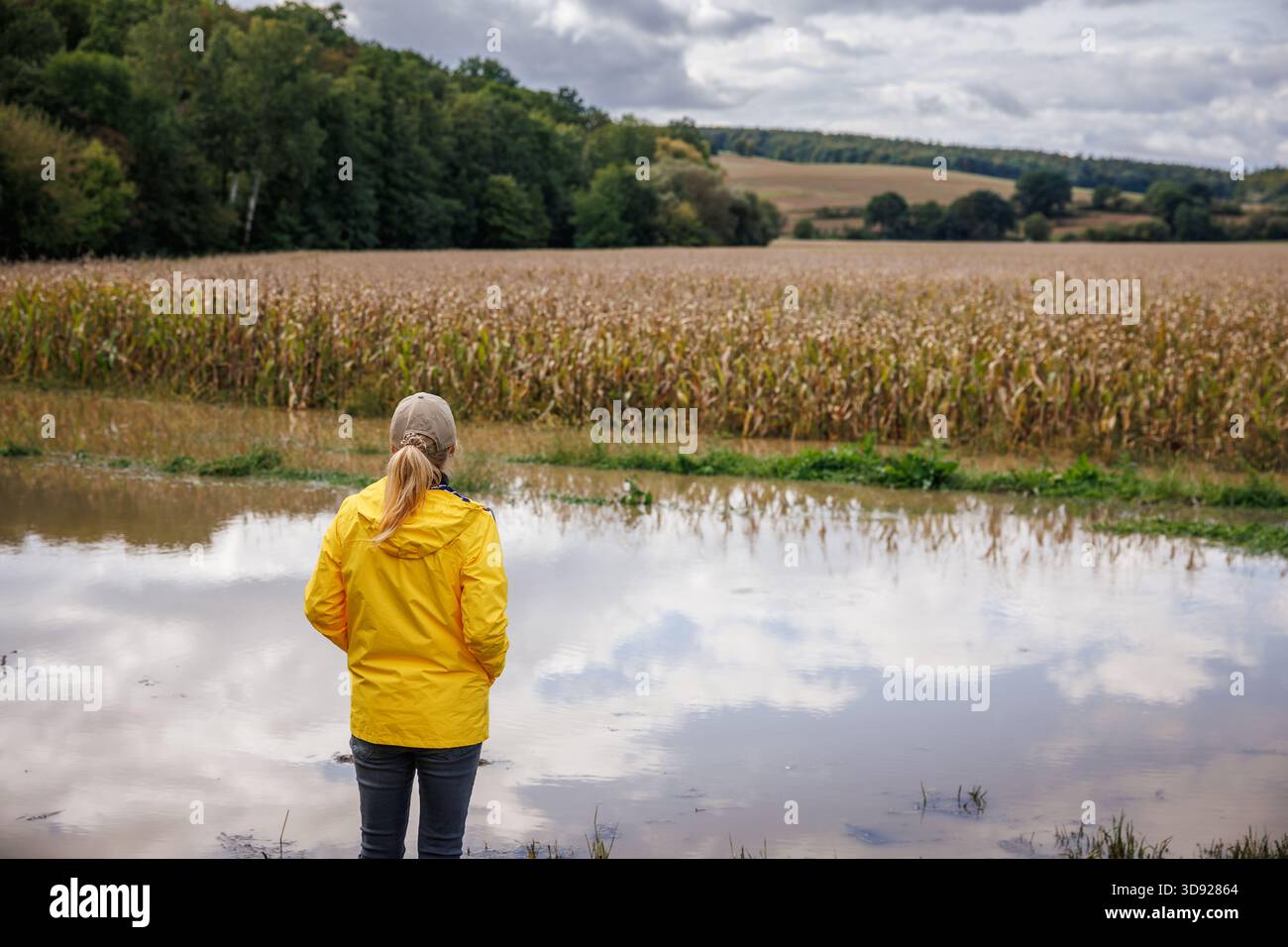Flood on farm. Worried farmer looking at flooded corn field after rain ...