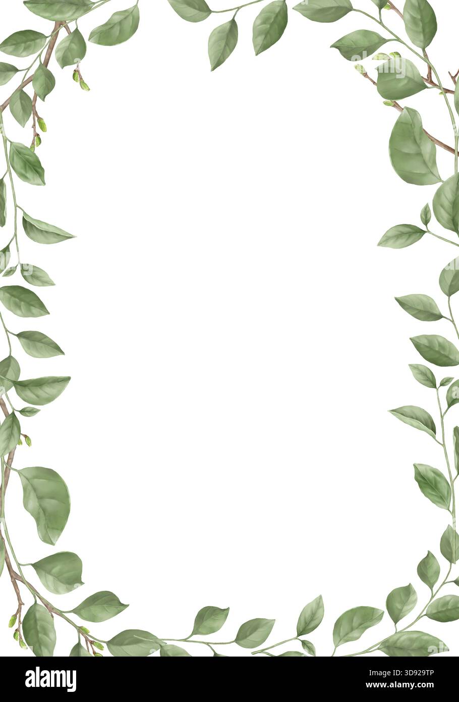 Leaves branches sunlight frame Cut Out Stock Images & Pictures - Alamy