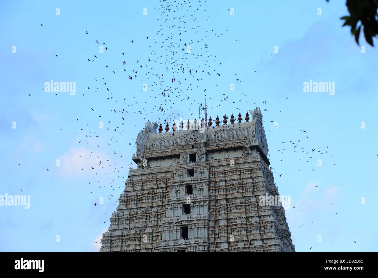 Front view of the historic Raja Gopuram of Arunachaleswarar Temple in ...