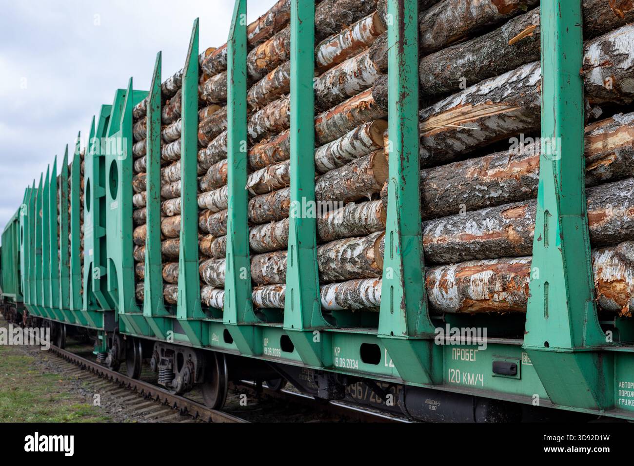 Close-up of timber cars. Railroad cars loaded with timber on tracks ...