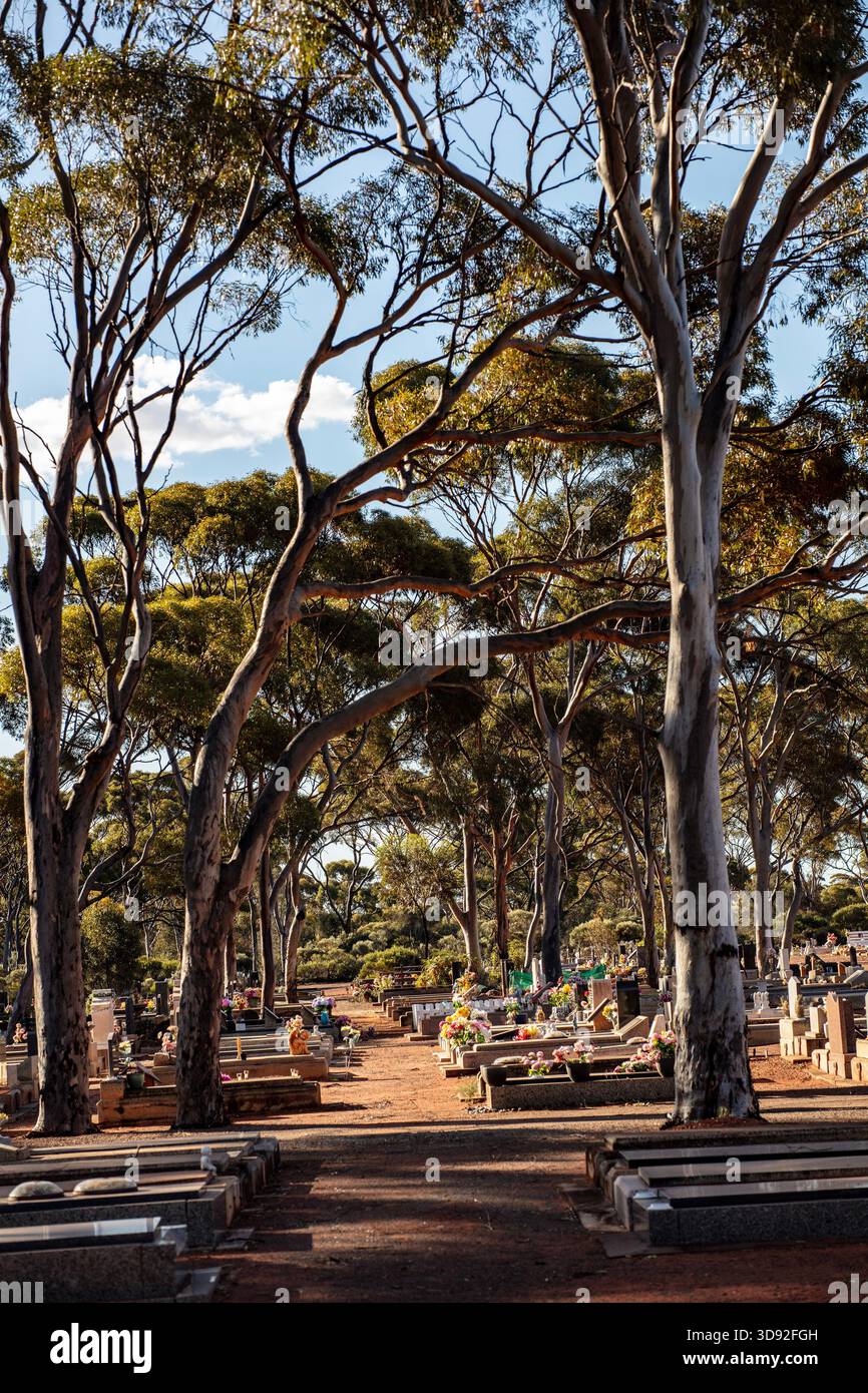 Historic kalgoorlie cemetery hi-res stock photography and images - Alamy