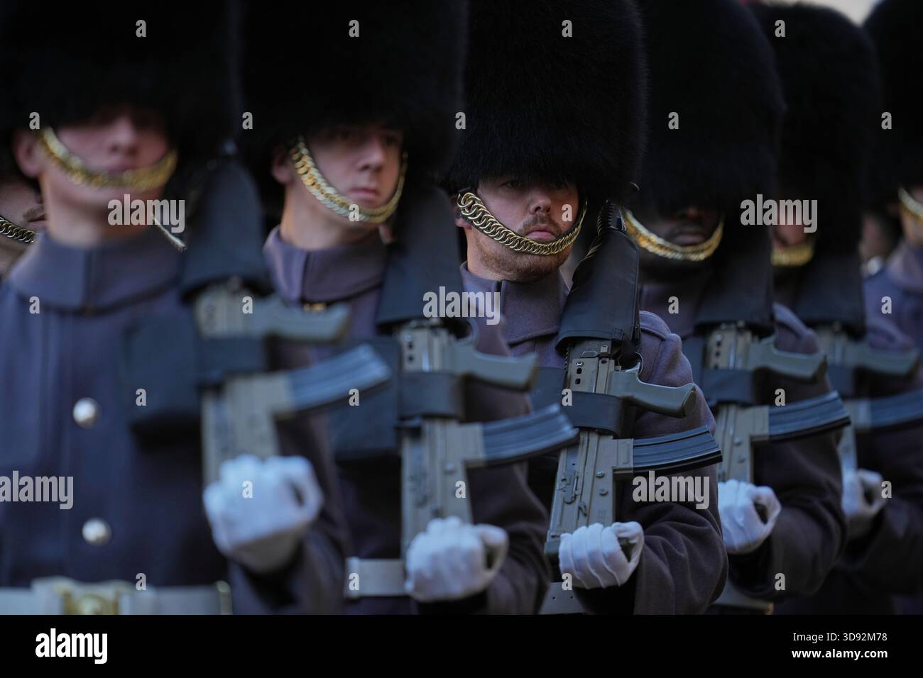 Soldiers from the Grenadier Guards take part in the Honour Guard during ...