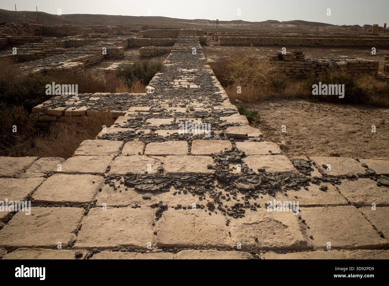Petroleum source origins hi-res stock photography and images - Alamy