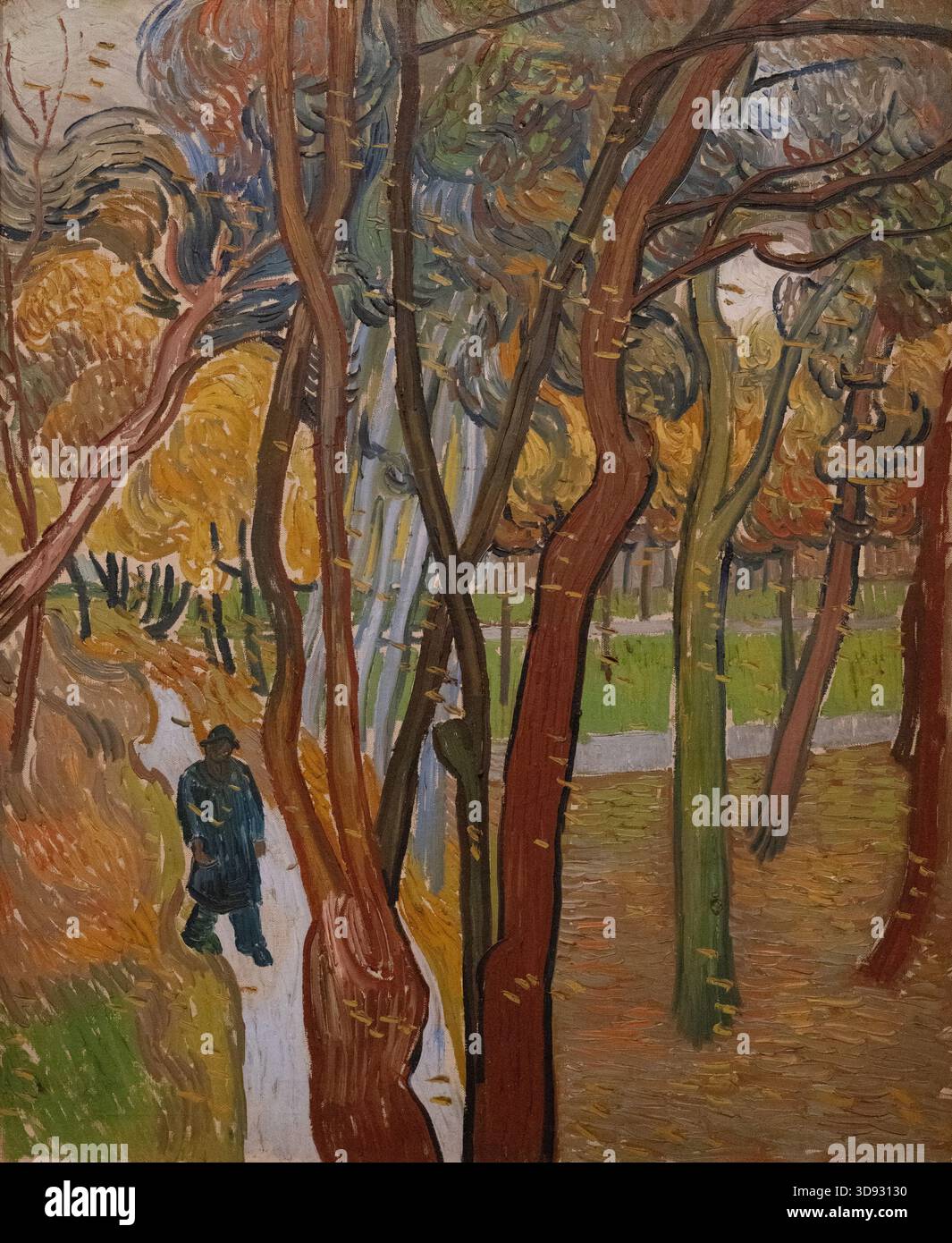 Van gogh the garden of saint pauls hospital leaf fall hi-res stock ...