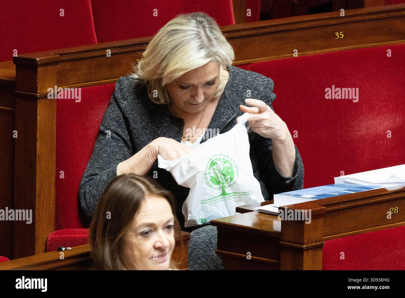 French deputy and president of Le Rassemblement National RN far right ...