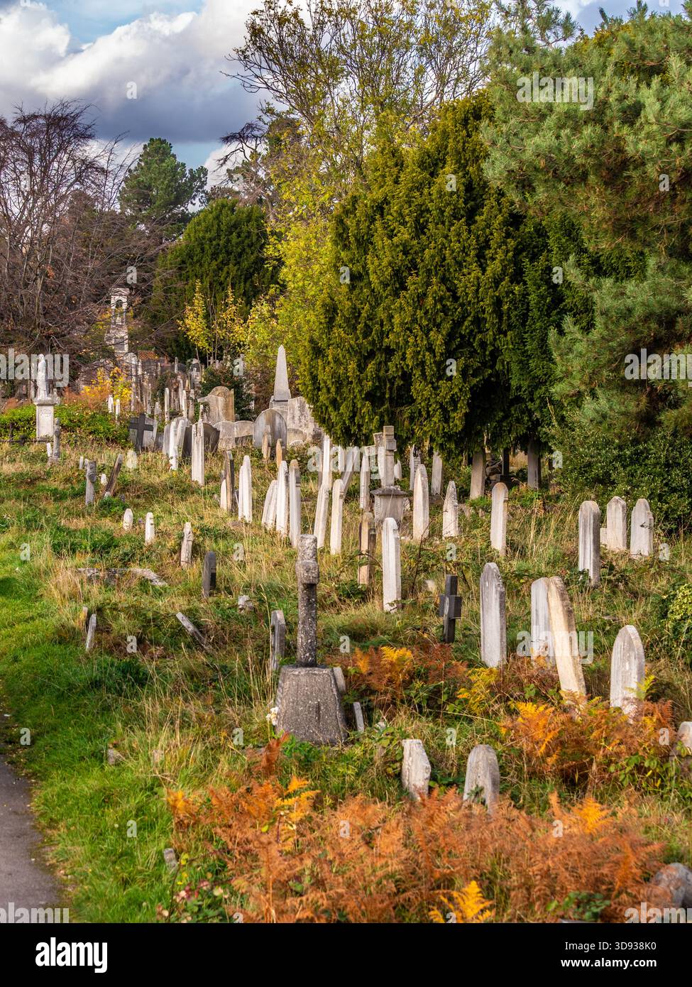 Autumn bracken and tall grass growing around Victorian headstones in an ...