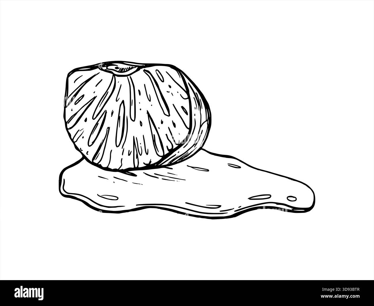 Citrus surface Stock Vector Images - Alamy