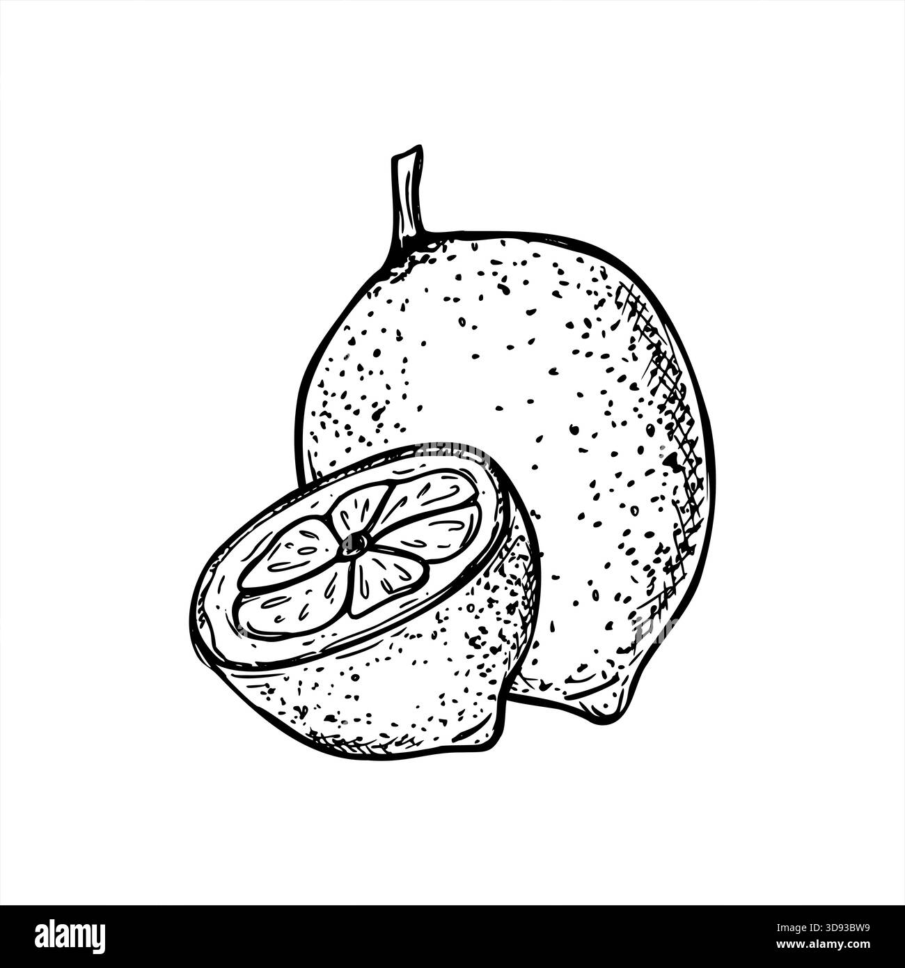 Fruit packaging art Black and White Stock Photos & Images - Alamy