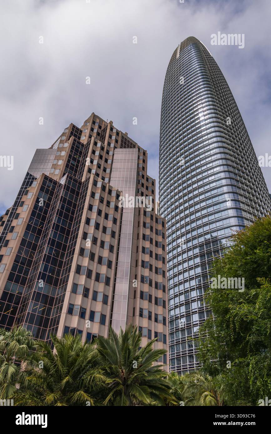Salesforce Tower, the tallest skyscraper in San Francisco, from ...