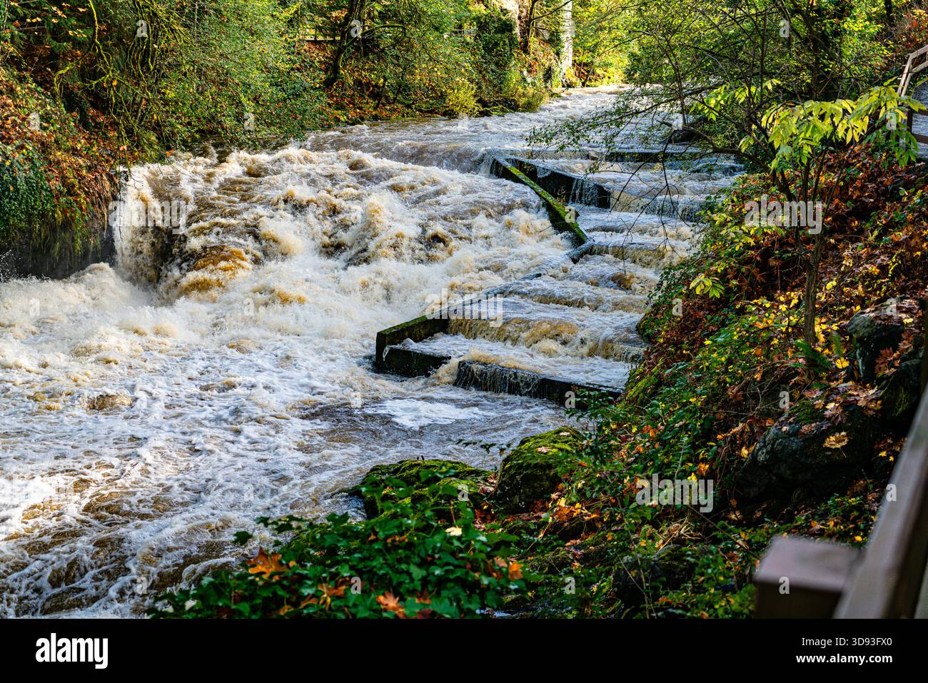 Winter water flow floods fish ladder on the Deschutes River in ...