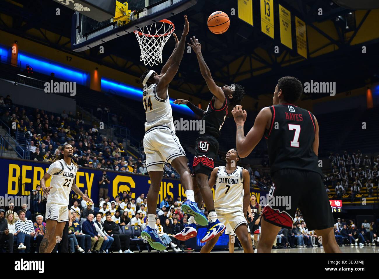 BERKELEY, CA - DECEMBER 02: California Golden Bears forward Lee Dort ...