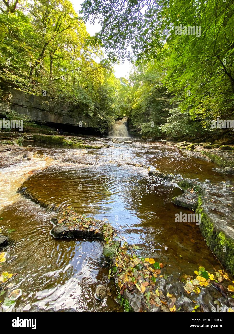William m smartphone stock photos and images - Alamy