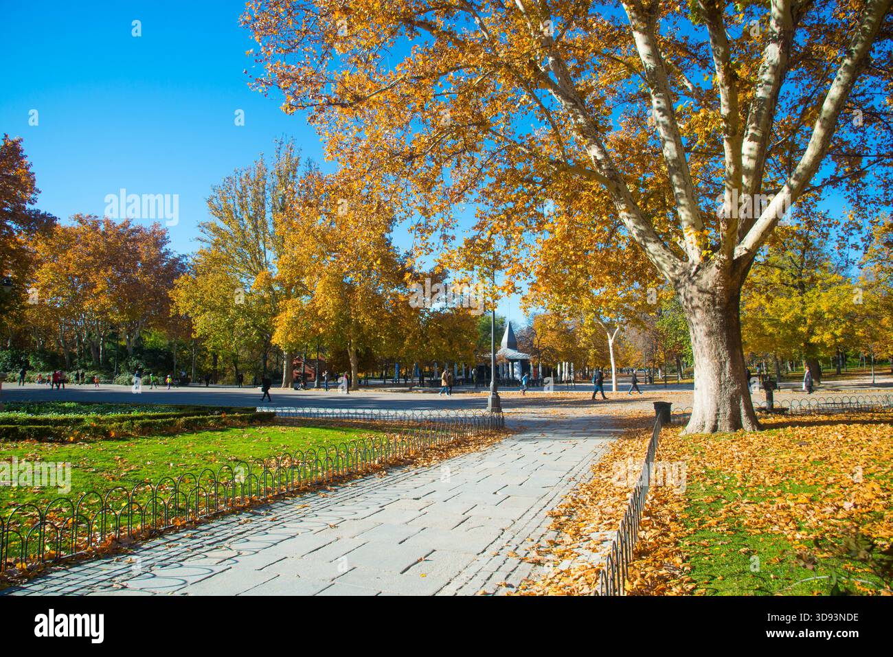 Park del buen retiro in autumn hi-res stock photography and images - Alamy